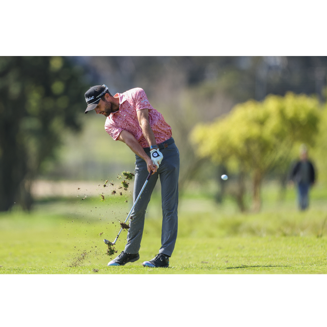 Gallery – Handee Golf
